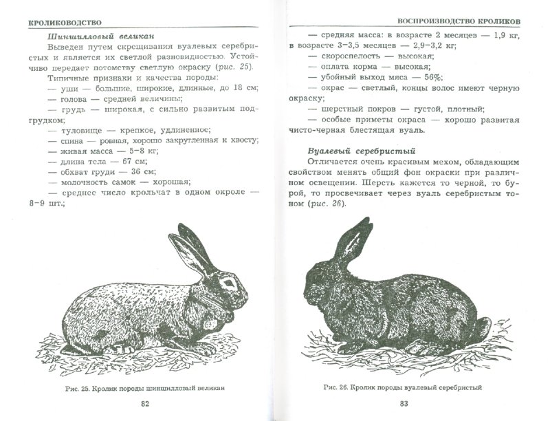 Кролиководство. Разведение и уход - Издательство Альфа-книга