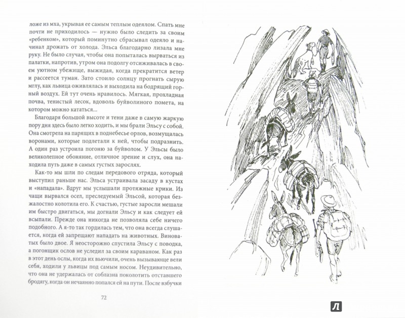 Рожденная свободной - Адамсон Джой - Издательство Альфа-книга